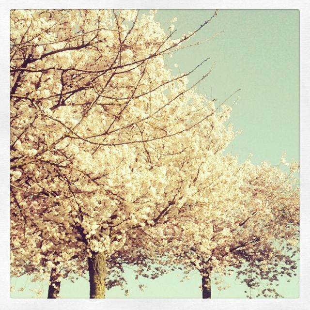 Maison Chloé：历史悠久的法国时尚品牌 - Chloé 官方网站