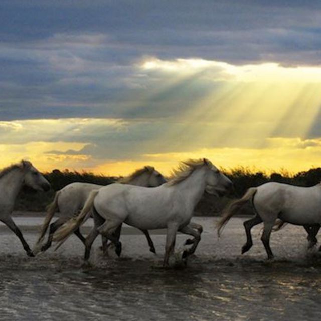 Maison Chloé：历史悠久的法国时尚品牌 - Chloé 官方网站